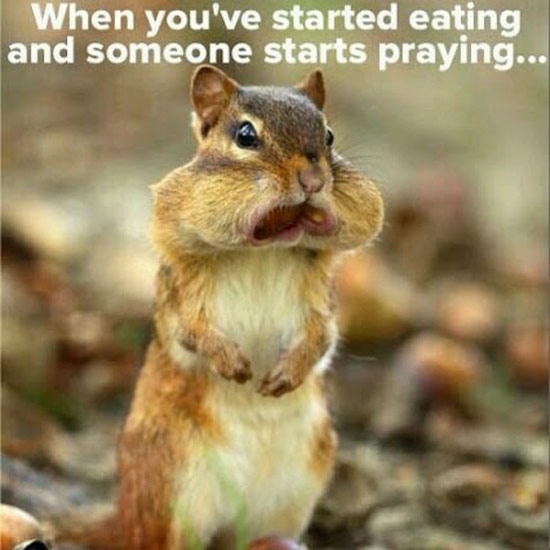 22 Random Funny Pics For The Weird And Nutty Team Jimmy Joe