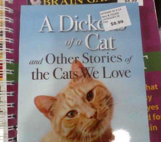 Team Jimmy Joe — 27 Examples of Bad Sticker Placement