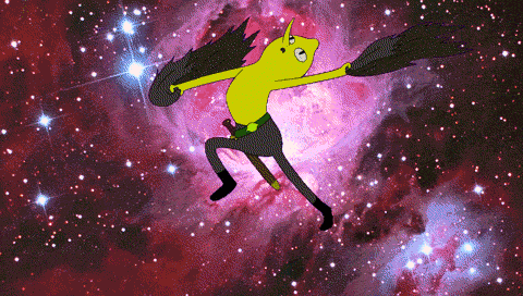 13 Funny Gifs of the Crazy Hilarious Nature | Team Jimmy Joe