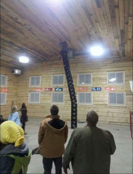 35 Funny Memes & Pics of Crazy Weird Randomness | Team Jimmy Joe